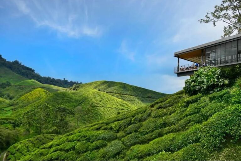 23 Tempat-Tempat Menarik di Cameron Highland - Cuti Jom