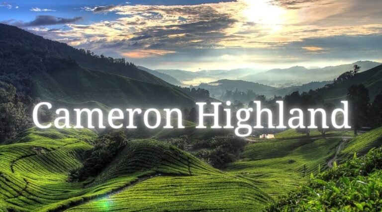23 Tempat-Tempat Menarik di Cameron Highland - Cuti Jom